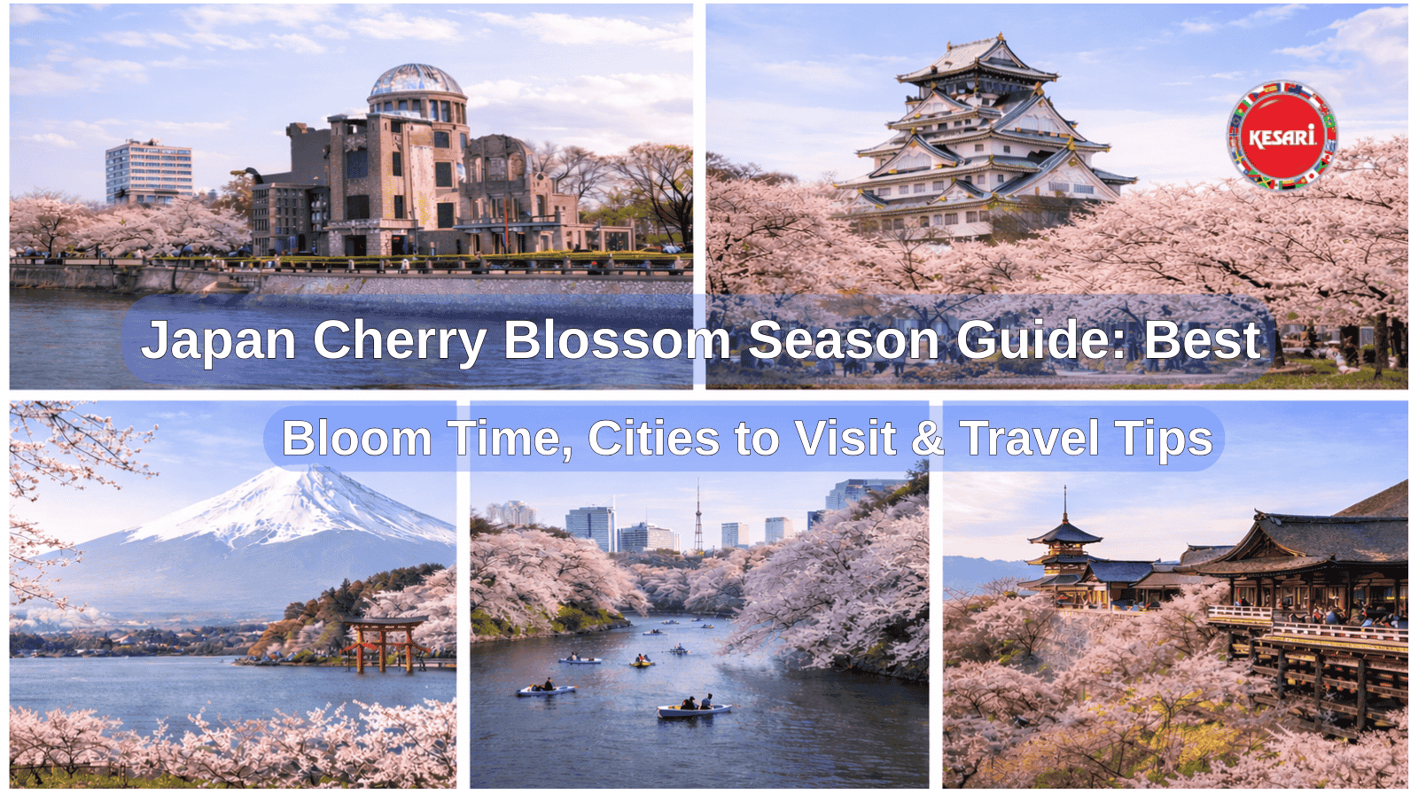 Japan Cherry Blossom Season Gide 2026: Best Time, Cities, Tips & More